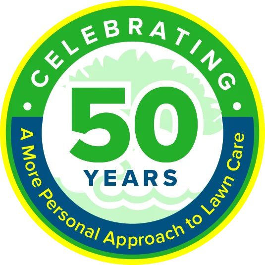 About Our Company | Our History